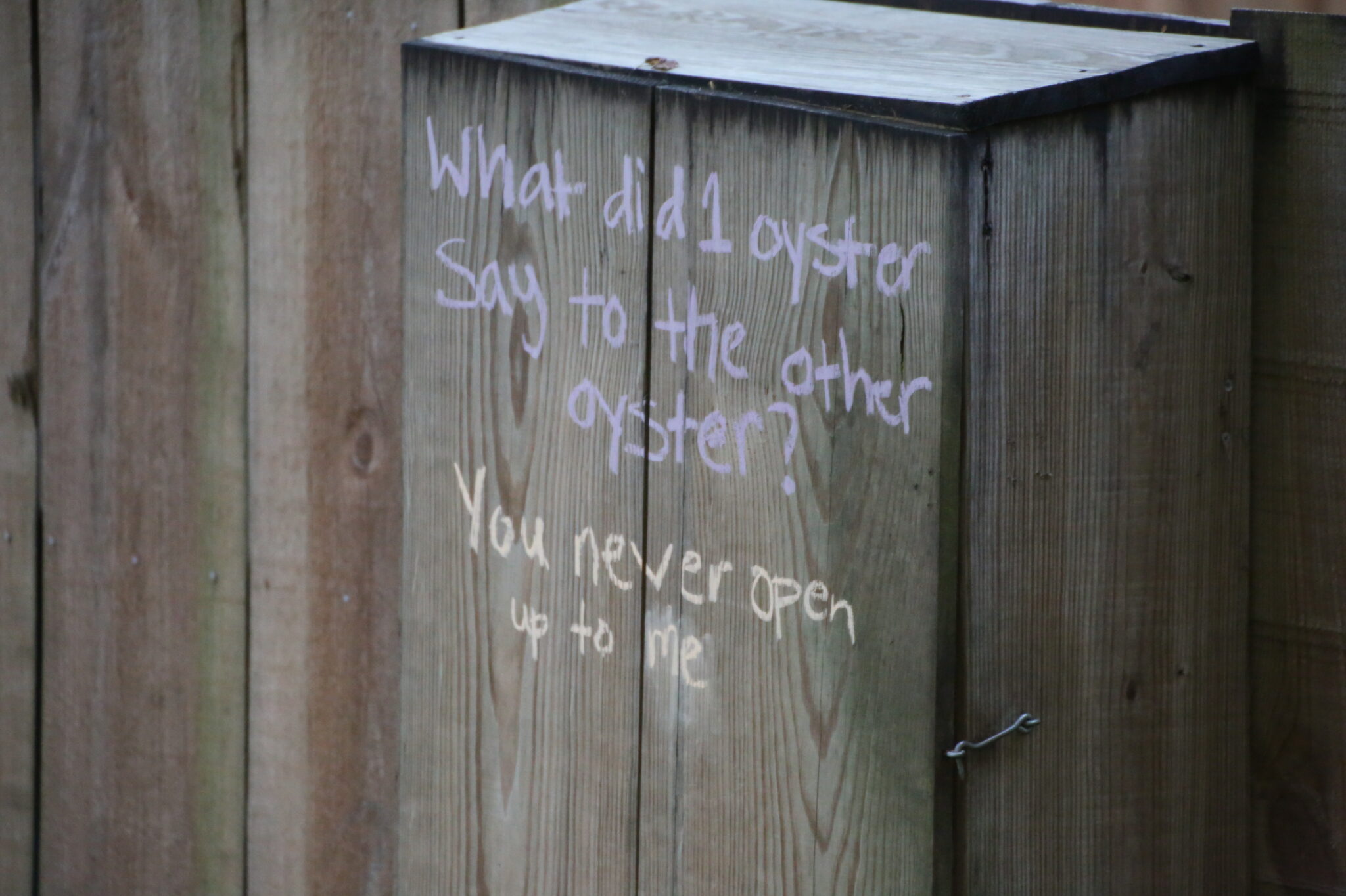 Shell-A-Bration - CRCL