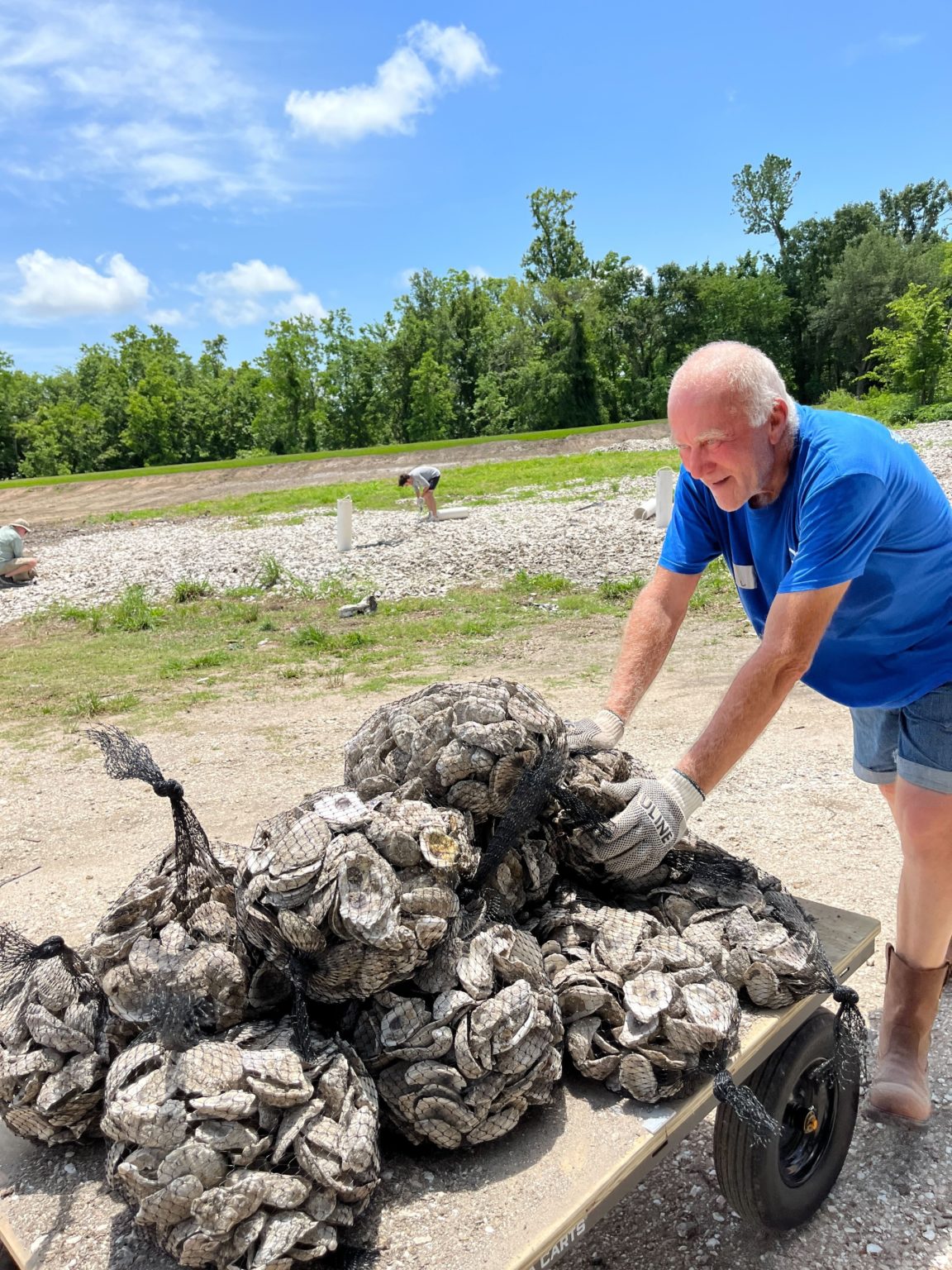 How is the shell used? - CRCL