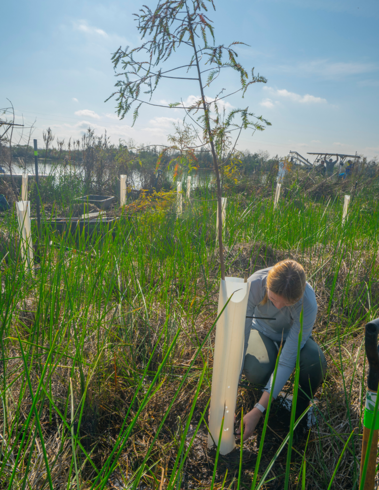 Native Seed Drive - CRCL