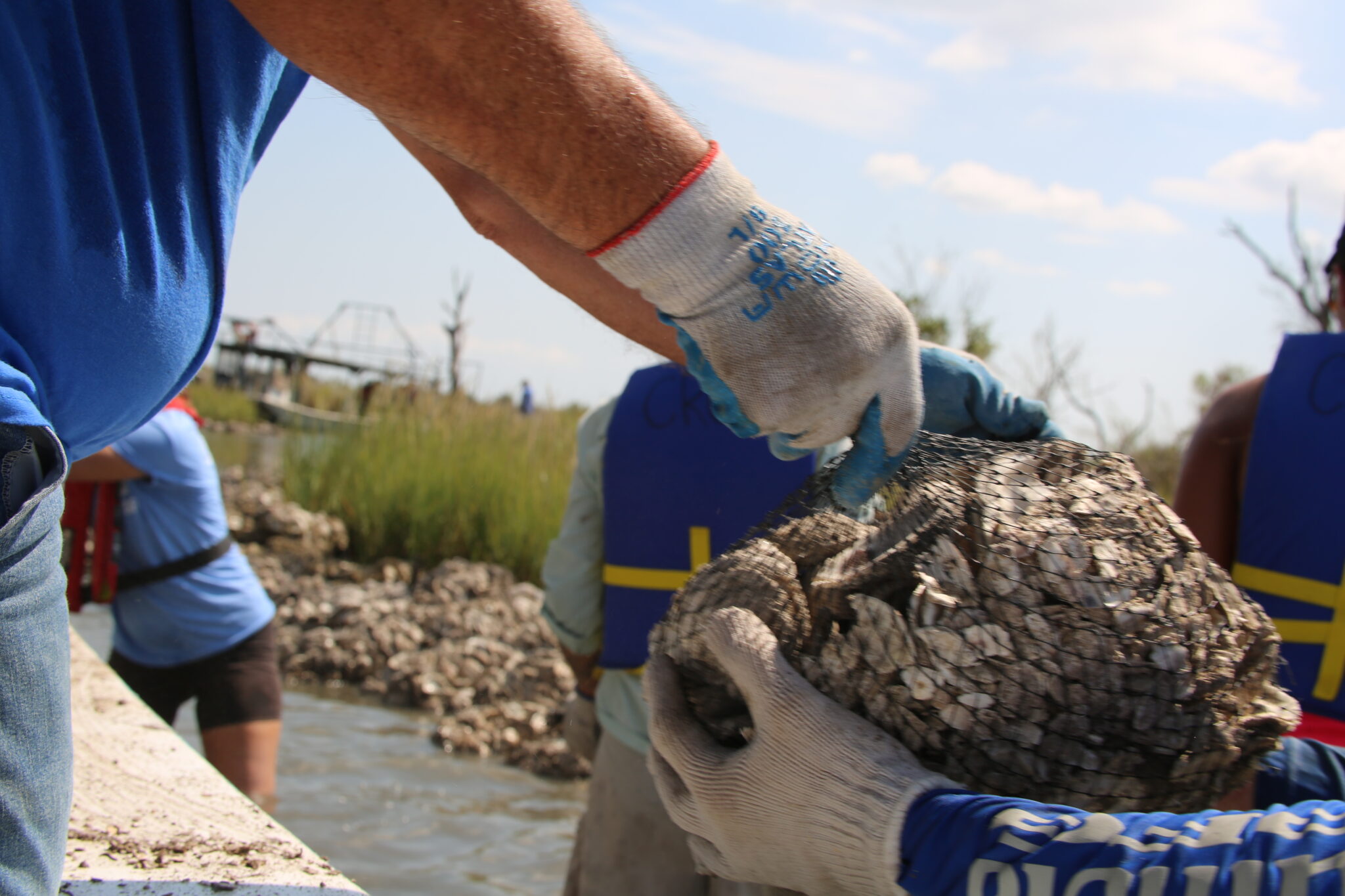 CRCL's Oyster Shell Recycling Program - CRCL